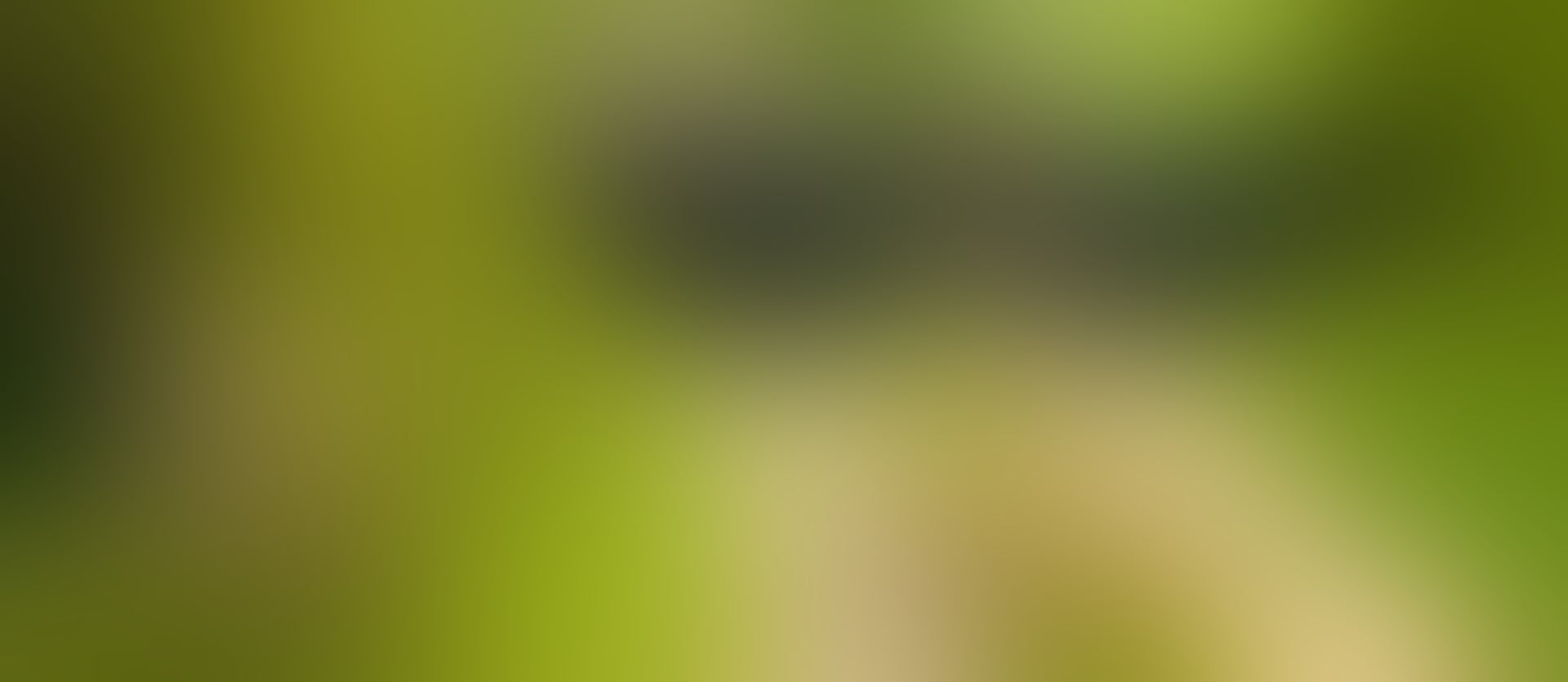 Mozambique Tours: Magical Maputo & Paradise in Machangulo - Exoticca